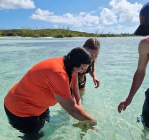 Exuma Adventure Tours – exumaadventuretours.com